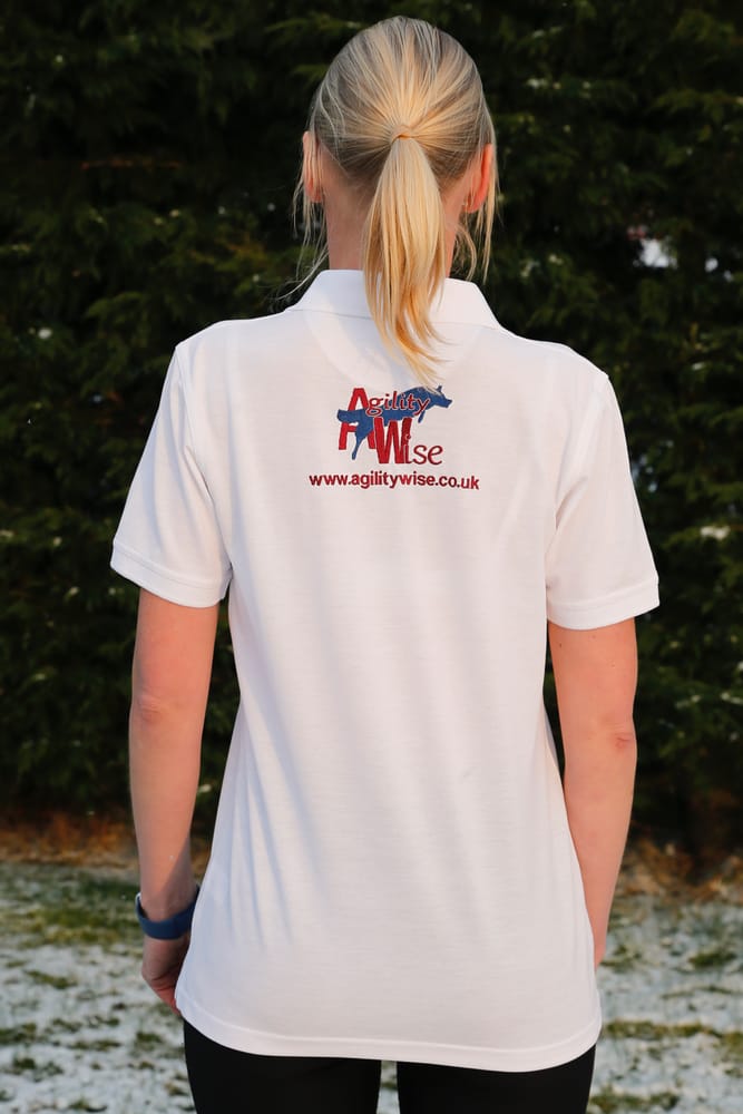 Merchandise - Agility Wise